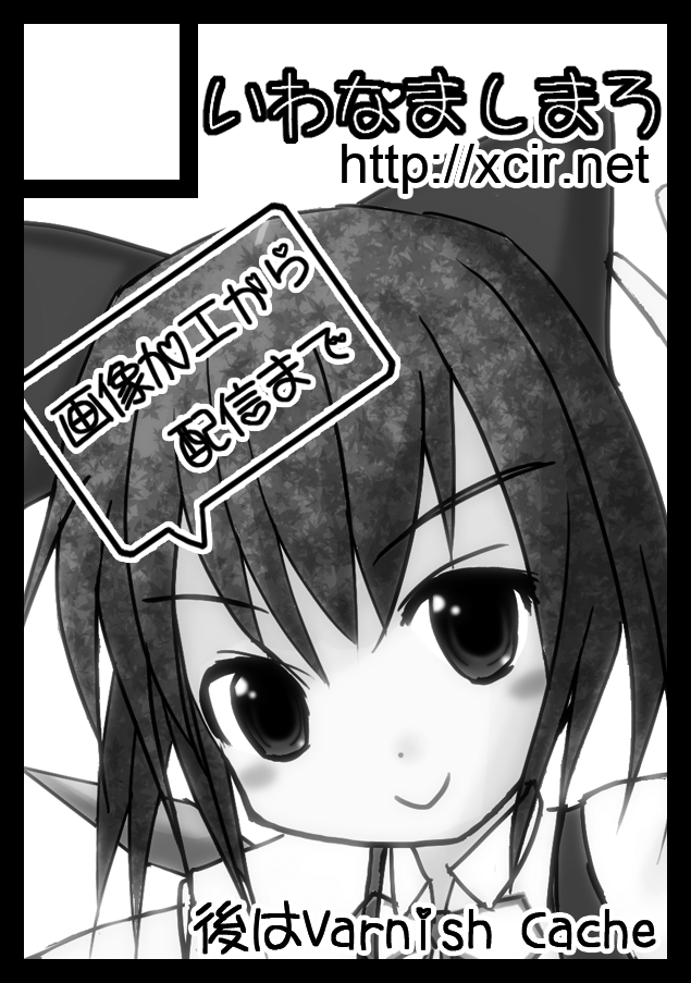 夏に出したVarnishCache入門をPDFで公開しました – cat /dev/random > /dev/null